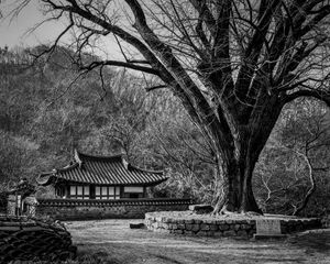 SHIM HOON KIM - Korean Pavilions Laden with the Elegance and Style of ...