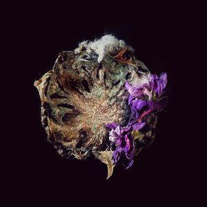 Feast Waste in Black - LensCulture
