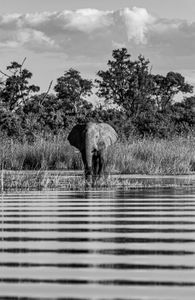 Alexander Hannah | LensCulture