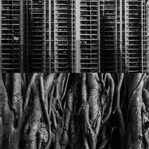 Manish Vaidya | LensCulture