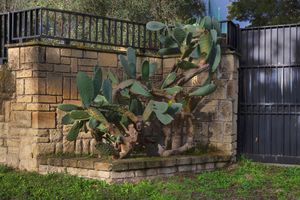 Holger Martin | LensCulture