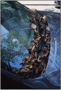 Gary Matson - Street Studio | LensCulture