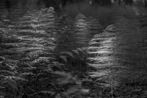 Konsta Klemetti - Portrait Awards 2025 | LensCulture