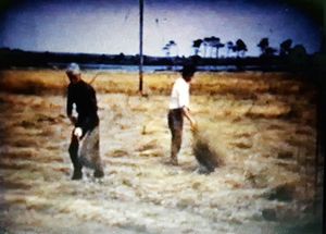 Martin Cregg | LensCulture