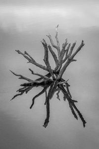 Ellis Moore | LensCulture