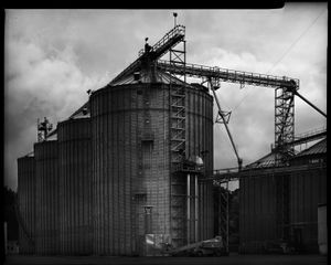 David Corbin | LensCulture