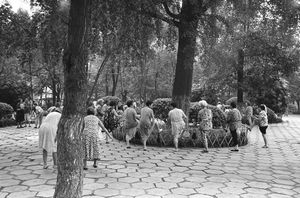 Kate Shortt | LensCulture