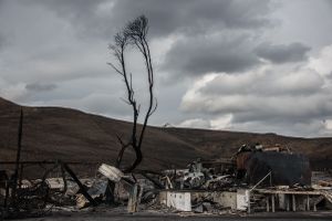 Ron Zak | LensCulture