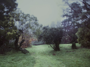 izzy Gramp - Daylesford | LensCulture
