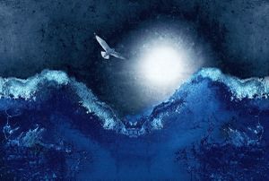 Curtis Salonick | LensCulture