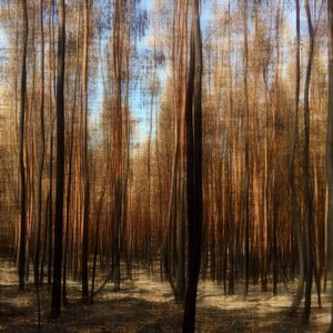 Isabel Afonso - Submission | LensCulture