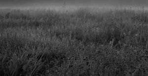 Konsta Klemetti - Portrait Awards 2025 | LensCulture