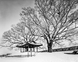 SHIM HOON KIM - Korean Pavilions Laden with the Elegance and Style of ...