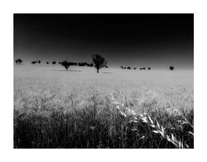 A potpourri of people, architecture and nature. - LensCulture