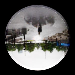 Stephan Koplowitz - Photographs from Revealed Portfolios (1-3 ...