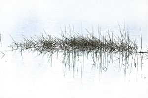 Stuart Bass | LensCulture