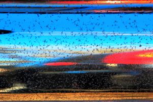 Mike Cable | LensCulture