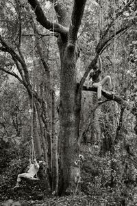 Alain Laboile - M-Monochrom | LensCulture