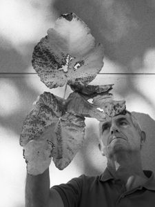 Xavier Mamano | LensCulture