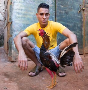 Susan Borowitz | LensCulture