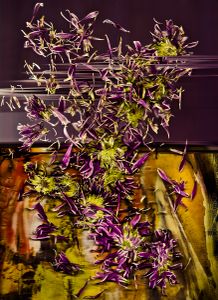 Movements - LensCulture