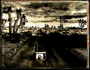 Brian Taylor - Open Books | LensCulture