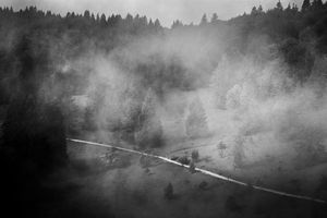 Marc Holderied | LensCulture