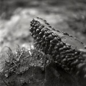 Peter Massingham | LensCulture