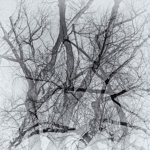 Drew Reese | LensCulture