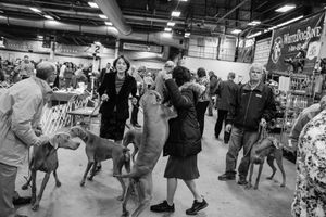 Theo Anderson - One Hundred Fifty- Seven | LensCulture