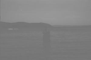 Charisse Thompson | LensCulture