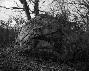 Antoine Le Roux - The lineage | LensCulture