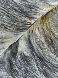 Torstein Lund Eik - In a Hundred Years, All Will Be Forgotten | LensCulture