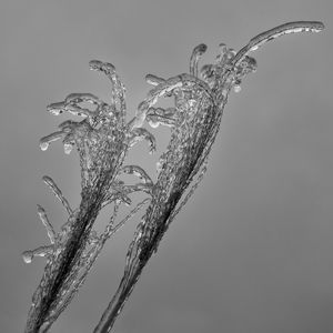 Matthew Barry | LensCulture