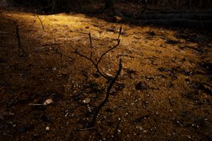 Ursa Majeure [photography duo] - Principiis Obsta | LensCulture