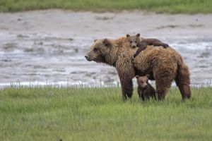 Christopher Ang | LensCulture