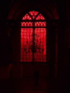 Rixa Lohmann - Tangled by the light | LensCulture