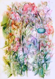 Larry Chait - Virtual Bouquets from The Green Florilegium | LensCulture