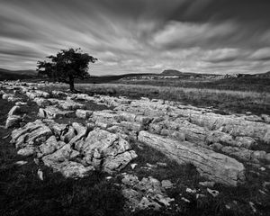 Ken Rhodes | LensCulture