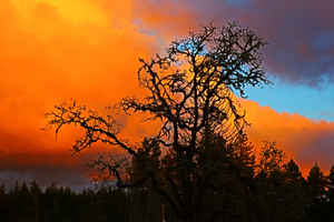 S La Riccia | LensCulture