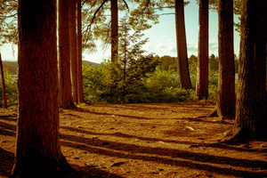 allan rosen-ducat | LensCulture