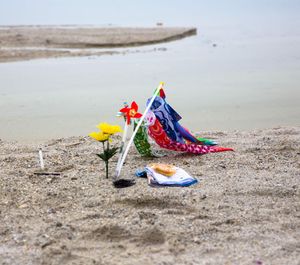 Adam Buczek | LensCulture