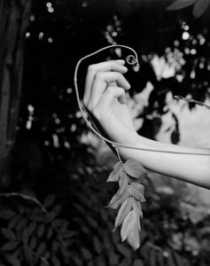 Sophia Singer | LensCulture