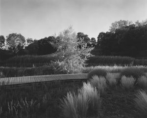 NATURE - LensCulture