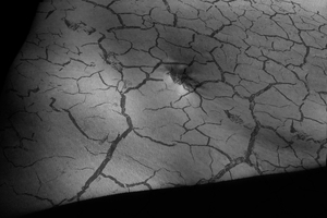 sandra paul | LensCulture