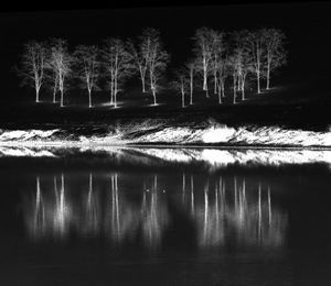 Ildikó Baranyi - Harmony - Inverted Landscapes | LensCulture