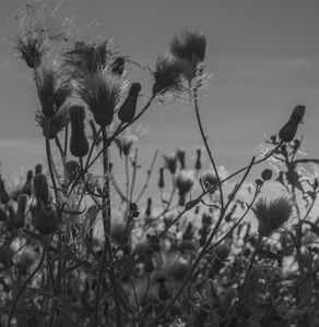 Konsta Klemetti - Portrait Awards 2025 | LensCulture