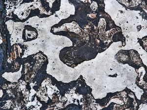 Mike Cable | LensCulture