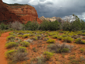 Steven Parisi Gentile - desert southwest | LensCulture