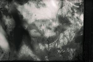 Jenny Rees - Encounter | LensCulture